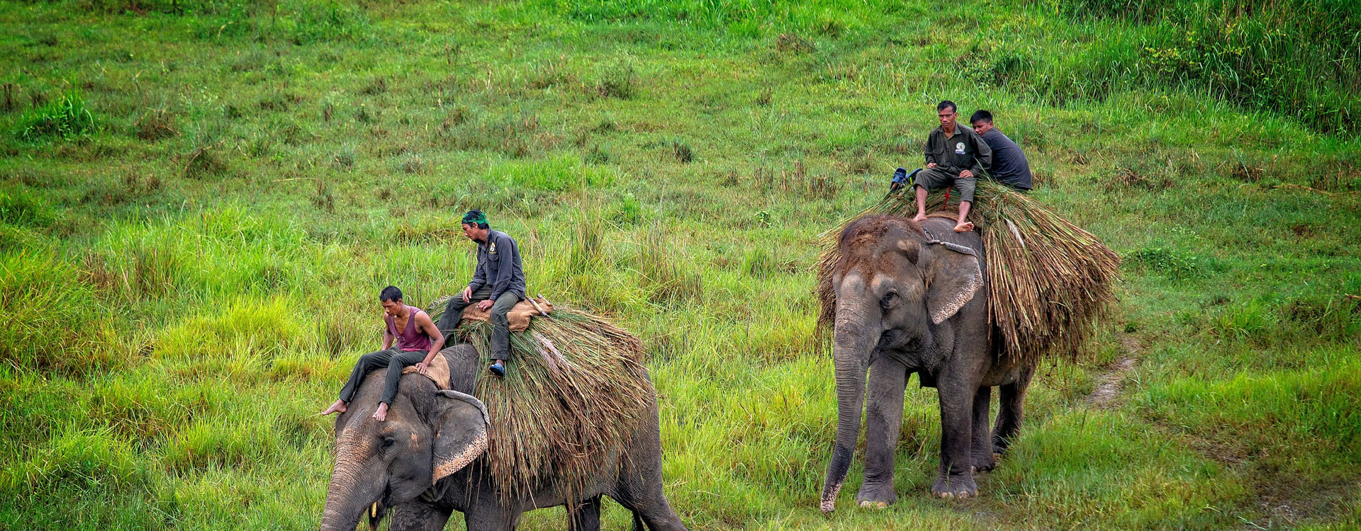 Best Nepal Tour | 10 Day Exclusive Trip to Nepal | Shepherd Holidays